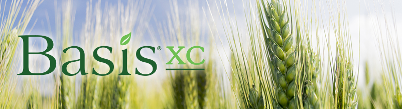 Concentrated Fertiliser Biocatalyst | Granular Fertilisers | Basis XC