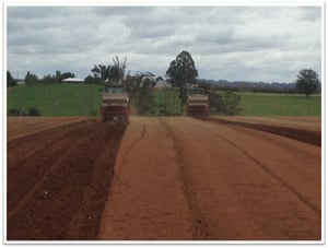 Foundation LM on Potatoes: More Uniformity, Fewer Culls & More Tonnes