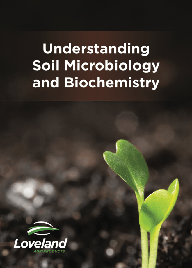Understanding Soil Microbiology & Biochemistry