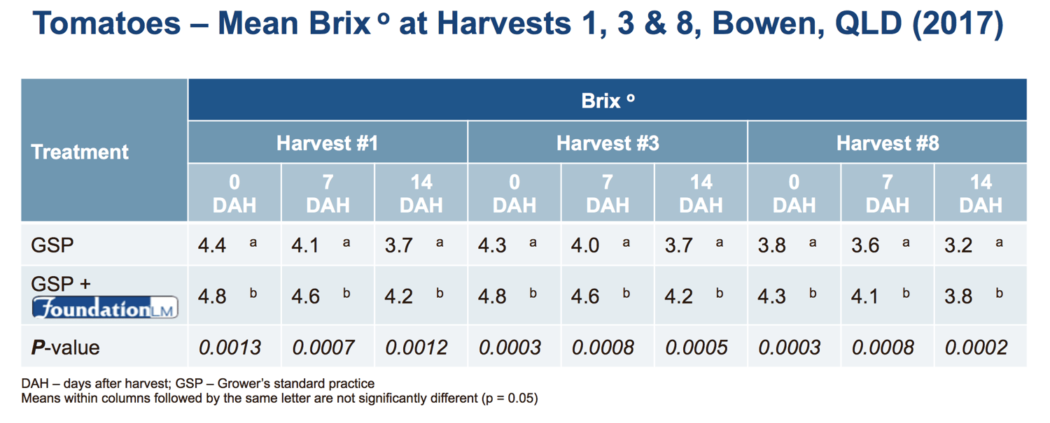 Fresh Market Tomato Trial Demonstrates Higher Brix with Foundation LM