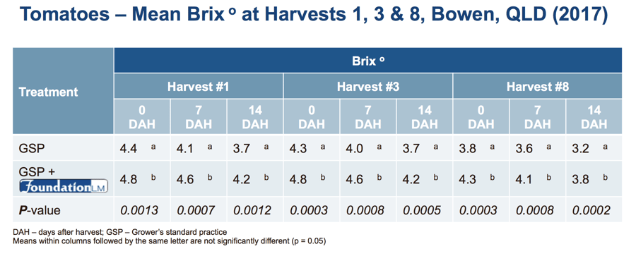Fresh Market Tomato Trial Demonstrates Higher Brix with Foundation LM